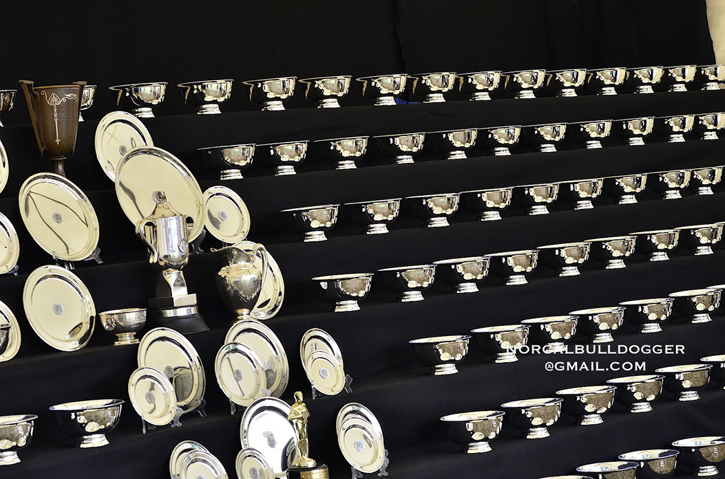 Home [www.morrisandessexkennelclub.org]